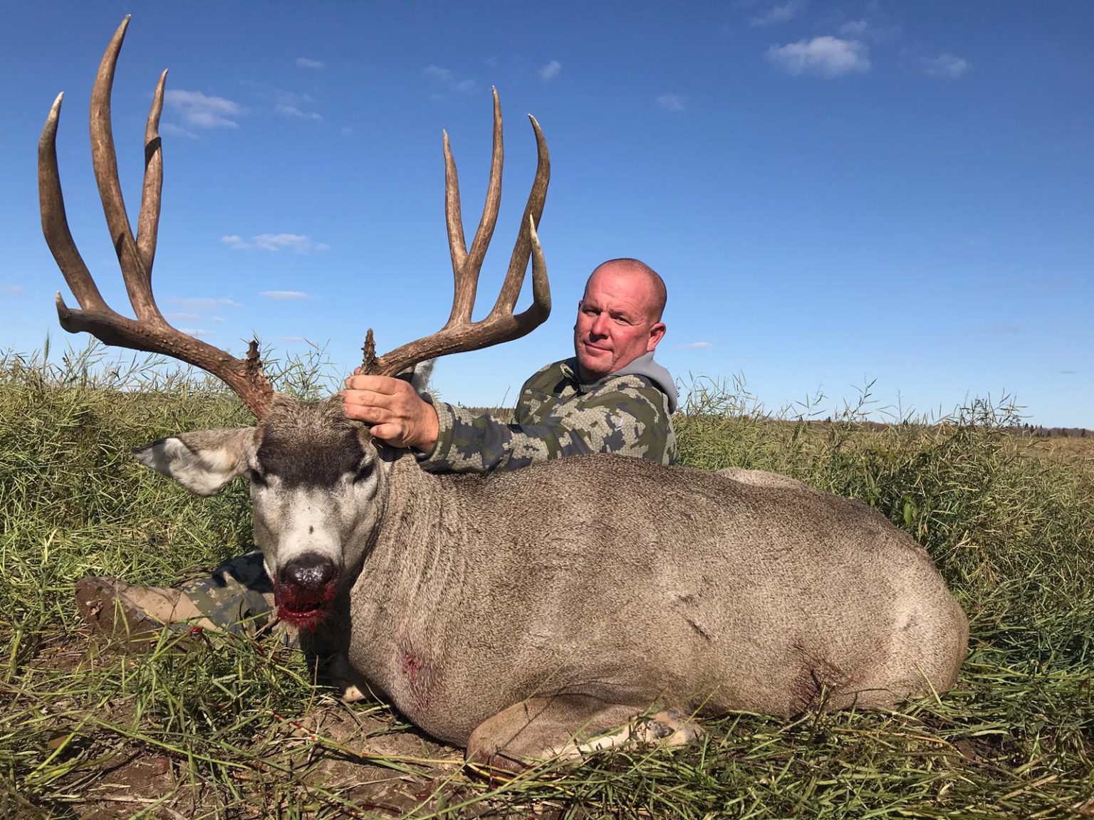 Alberta Trophy Mule Deer - Specialty Adventure Services