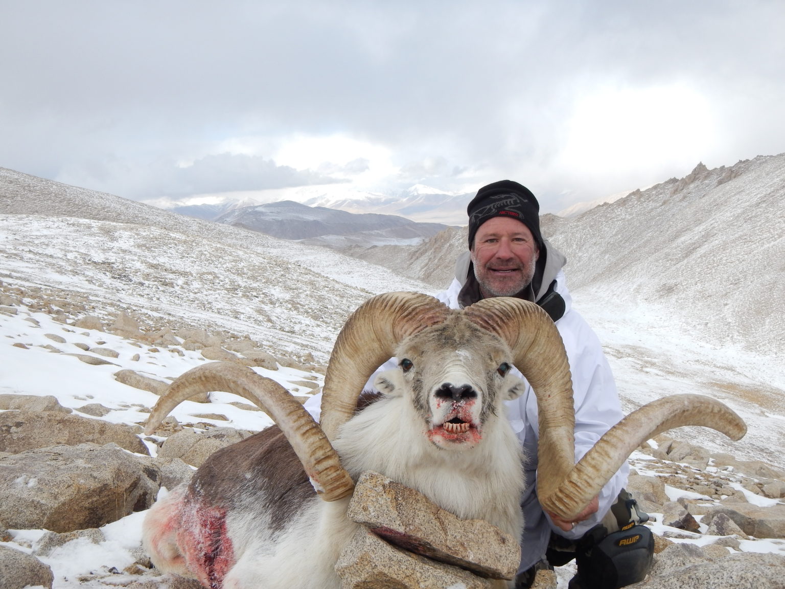 Marco Polo Hunt - Tajikistan - Specialty Adventure Services
